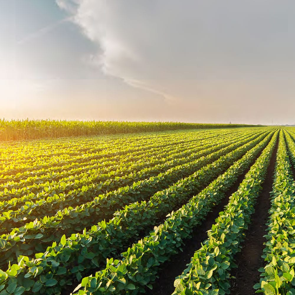 Agriconomie | SugarCRM